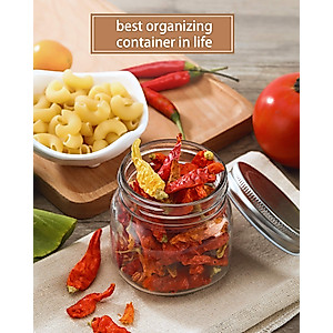 TANGLONG Mason Jars 8 oz Set of 24,Small Mason Jars,Spice Jars,8 oz Mason Jars with Lids,Small Jars with Lids,8 oz Glass Jars,Small Glass Jars with Lids