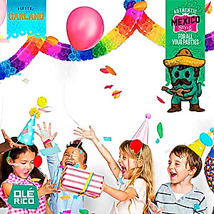 Rainbow Garland 5 Pack - Ideal for Rainbow Party Decorations, Fiesta Party Decorations, Mexican Party Decorations, Party Streamers Supply - 10 Feet Long Each | 9 Inch Diameter by OLÉ RICO