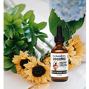 The Healing Dog: Hemp Drops for Dogs & People - 2000mg
