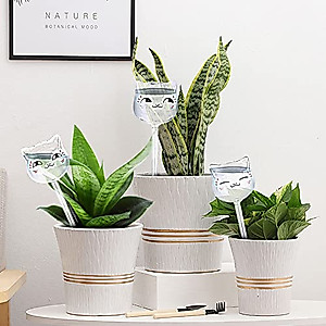 Jitnetiy 3 PCS Hand-Blown Glass Self Watering Globes,Plant Watering Bulbs,for Indoor Outdoor Plant (Clear Cat)