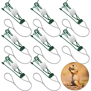 Qualirey 8 Pcs Gopher Trap with Chain Mole Trap Green Stainless Steel Weather Resistant Gopher Trap Gopher Killer Vole Trap for Lawn Garden Farm Outdoor