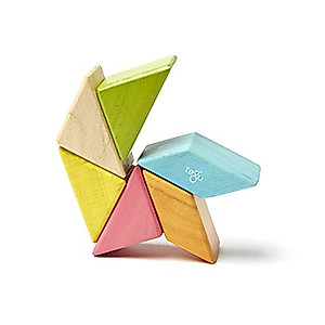 6 Piece Tegu Pocket Pouch Prism Magnetic Wooden Block Set, Tints