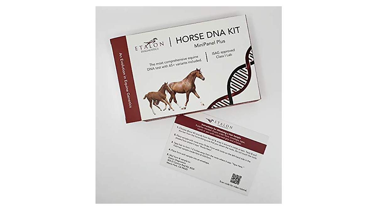Etalon Horse DNA Test - 55+ Traits for Equine Analysis