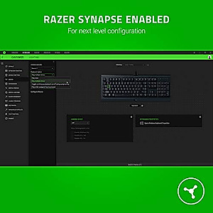Razer Cynosa Lite Essential Gaming Keyboard (Fully Programmable, RGB Chroma Lighting, Gaming Grade Keys, 10 Key Roll-Over, Spill Resistant) US Layout|Black