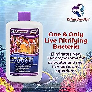 DrTim's Aquatics Reef One & Only Nitrifying Bacteria – For Reef, Nano and Seahorse Aquaria, New Fish Tanks, Aquariums, Disease Treatment – H20 Pure Fish Tank Cleaner – Removes Toxins – 4 Oz. (401)