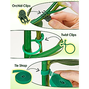 NiHome Comprehensive Plant Support Stake Set of 6 - Durable, UV Resistant 39.5" Stakes with Extension Poles, Orchid Clips & Plant Ties for Climbing Indoor & Outdoor Plants, Monstera, Pothos & More