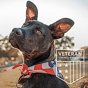 iHeartDogs Dog Memorial Devoted Dog Angel Figurine - Dog Statue Pet Memorial Gifts