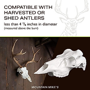 Mountain Mike’s Skull Master - European-Style Mount Kit for Antlers - for Antlers Larger Than 4 ⅞” Diameter - Compatible with Harvested and Shed Antlers - White (Large)…