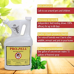 One Gallon Jug Pro-Pell Rodent Repellent Repells Mice & Rats. Makes 10 gallons