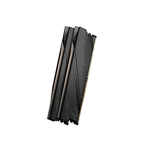 AORUS Memory GP-ARS32G52D5 (DDR5 32GB (2x16GB) 5200MHz) Black