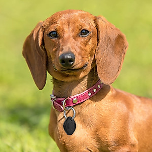 Propector Case Compatible with Samsung Galaxy SmartTag/SmartTag+ Case,Soft Silicone Lightweight Keychain Anti-Scratch Protevtive Skin Cover for Galaxy SmartTag (Black)