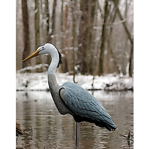 Flambeau Outdoors 5960CD Great Blue Heron Decoy, Includes Metal Stake - 1-Pack