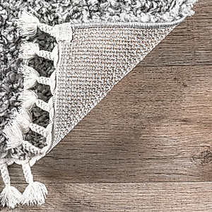 nuLOOM Neva Modern Tasseled Shag Area Rug, 4x6, Grey