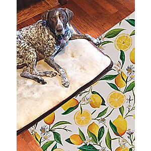 Linon The Anywhere Washable Rug Wesley Ivory/Yellow 3' X 5' Accent Rug