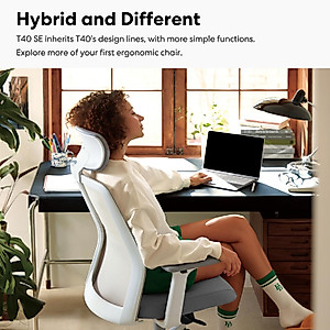 SIDIZ T40 SE Ergonomic Office Chair : Comfortable Home Office Chair for Light Users with Reclining Tilt Lock, Headrest, 3D Armrests, Mesh Back Computer Desk Chair, Alternative Gaming Chair (Gray)