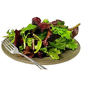 1000+ Lettuce Mix Seeds Please Read! This is A Mix!!! 20 Varieties Seeds Heirloom Non-GMO. Seeds are not Individually Packaged!