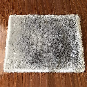 LAMBZY '' Lena Collection '' Faux Sheepskin Super Soft Hypoallergenic Rectangular Area Rug Plush Fur Premium Shag (4'x6',120x180 cm, Gray)