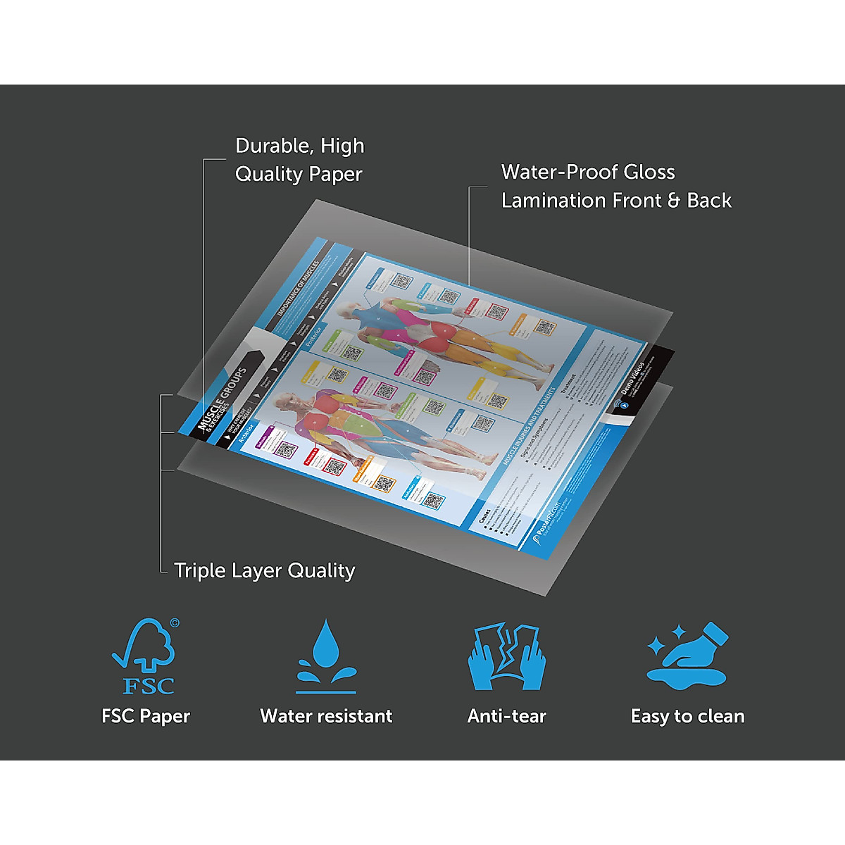 Gym Workout Posters - Set of 7 - Laminated - EXTRA LARGE 33" X 23.5" - Exercise Posters - Gym or Home Workout Charts - Includes Video Training Support