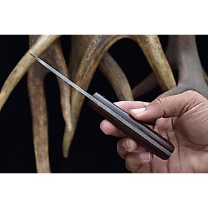 Knives Ranch Damascus Skinning Knife, Fixed Blade Hunting Knife with Rosewood Handle and Heavy-Duty Dual Horizontal/Vertical Sheath (3129-IRW)