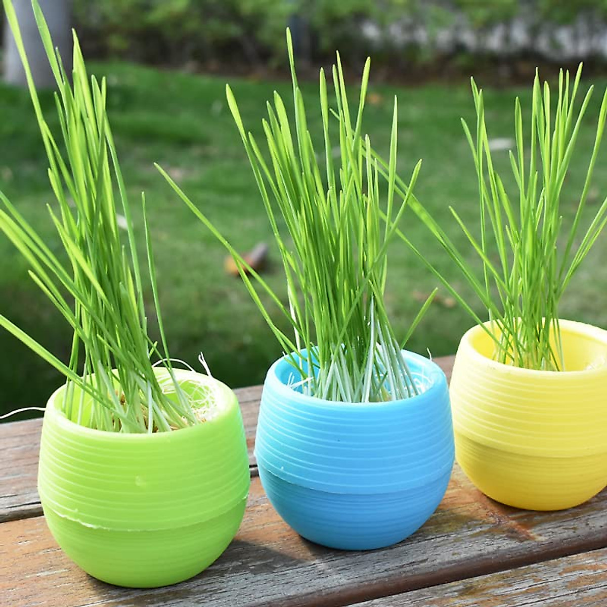 Elsjoy 30 Pack Mini Succulent Pot, 3 Inch Plastic Seed Starter Pots Small Cute Succulent Planter with Drainage for Indoor & Outdoor Plants, Home Decor, Free Assembly