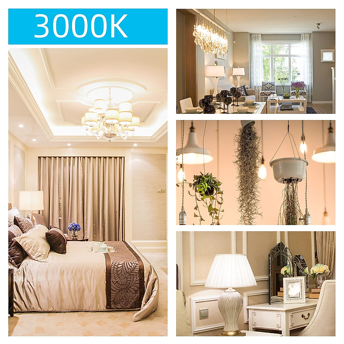 TZHILAN G4 LED Light Bulb 120V Dimmable, Brighter with Glass Cover, 2.5W Bi Pin Base Mini Lamp Warm White 3000k Equivalent 25W Halogen Bulb Replacement Pack of 5