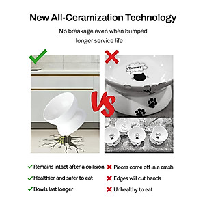 ABRUTY Cat Water Bowl, 16 OZ Ceramic Elevated Cat Dish, 15° Tilted and Raised Pet Food Bowl, Anti Vomiting Protect Pets' Spines and Whisker Fatigue