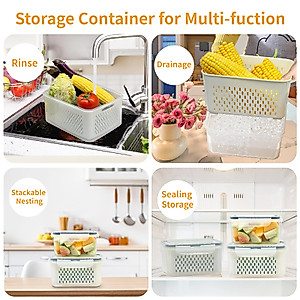 Fruit Storage Containers for Fridge,Produce Saver Containers for Refrigerator with Drain Colander,Food Storage Container,Dishwasher&Microwave Safe,Keep Fruits,Vegetables,Berry,Meat Fresh longer 6Pack.