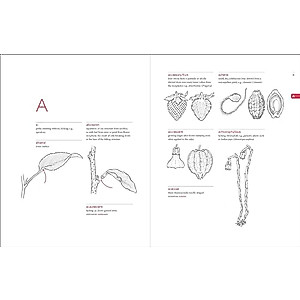 A Botanist's Vocabulary: 1300 Terms Explained and Illustrated (Science for Gardeners)