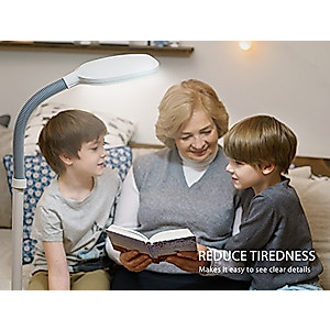 Kenley Natural Daylight Floor Lamp - Tall Reading Task Craft Light - 27W Full Spectrum White Bright Sunlight Standing Torchiere for Living Room, Bedroom or Office - Adjustable Gooseneck Arm - Gray