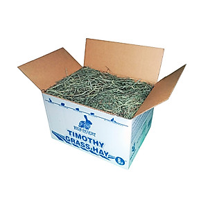 High Desert 2nd Cutting Timothy Grass Hay for Guinea Pigs, Rabbits, and More Small Animal Pets