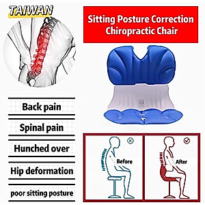 Taiwan Hip Comfortable Lumbar Back Support. Perfect for Home, Office, Desk Chair. Technology for Pelvic Correction. Low Back (Grey) Pain Relief