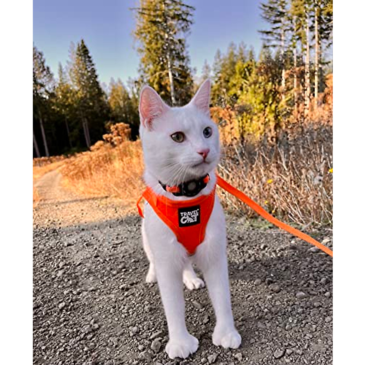 Travel Cat Harness and Leash Set - Adjustable Comfort Fit Mesh Vest Harnesses with Reflective Strap - Snug Fit Harness for Cats, Kitten for Outdoor Walking, Orange, Small (Chest 13-15.5 inch)