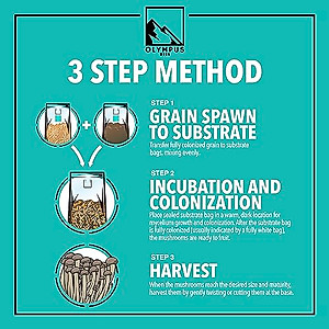 Olympus Myco Mushroom Grow Kit | Sterilized Grain (3 lbs) and Pasteurized Substrate (5 lbs) Combo for Mushroom Cultivation