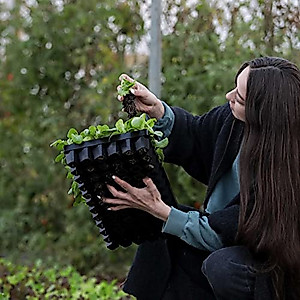 Bootstrap Farmer 72 Cell Air Prune Tray, 5 Pack, Extra Strength Air Pruner Seed Starting Tray