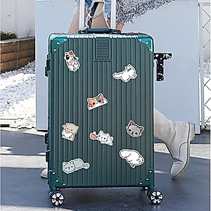 Animal Stickers for Kids, 50PCS Cute Cat Stickers for Water Bottles, Cartoon Kitten Laptop Skateboard Car Bike Helmet Luggage Waterproof Sticker DIY Graffiti Stickers Packs for Girls Teens Students