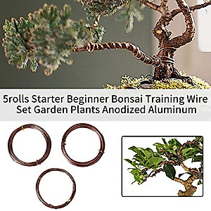 Pumbaa 5rolls 147 Feet Total Anodized Aluminum Tree Bonsai Training Wire Set Flexible Holding Branch Plants Beginner Garden Artists - Bronze