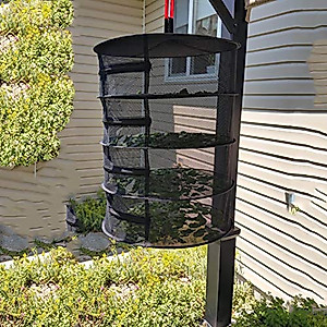 Herb Drying Rack Net Dryer 4 Layer 2ft Black W Zippers Mesh Hydroponics Mesh Collapsible Hanging Dryer Net Lights Carrying Case Indoor & Outdoor