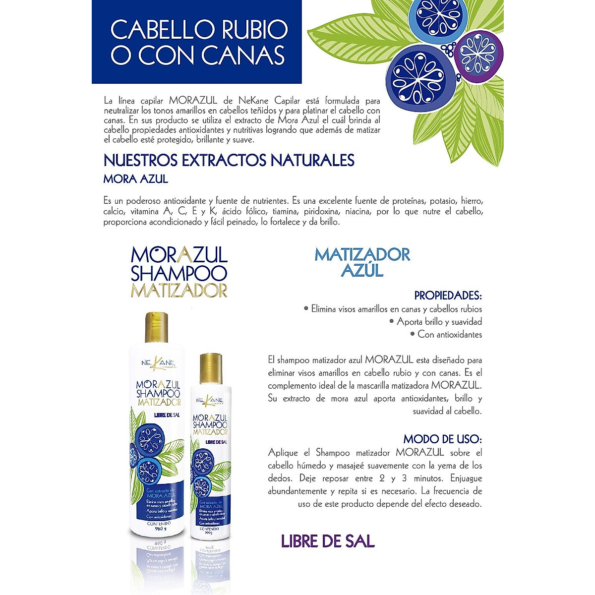 SHAMPOO MORAZUL MATIZADOR