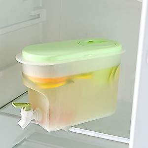 Refrigerator Cold Kettle Silicone Sealing Refrigerator Cold Kettle Double Filtration for Kitchen (Green)