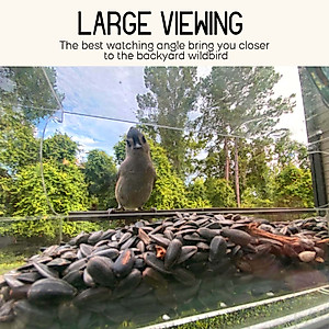 MrCrafts Window Bird Feeder for Outside with Strong Suction Cups, Fits for Cardinals, Finches, Chickadees etc