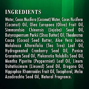 Botanic Hearth Tea Tree Body Wash, Helps with Nails, Athletes Foot, Ringworms, Jock Itch, Acne, Eczema & Body Odor, Soothes Itching & Promotes Healthy Skin and Feet, Naturally Scented, 16 fl oz