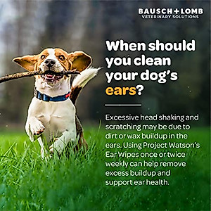 Project Watson Dog Ear Wipes, Gentle pH Balanced Formula to Help Soothe, Cleanse & Moisturize, Contains Aloe Leaf Juice, Hydrogen Peroxide & Fragrance Free, 45 Pre-Moistened Textured Wipes