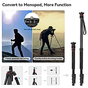 SmallRig 68" Camera Tripod, Foldable Aluminum Tripod & Monopod, Compatible with 1/4"-20 and 3/8"-16 Video Head, Payload 33lb, Adjustable Height from 19.7" to 67.7" for Camera, Phone - 3983