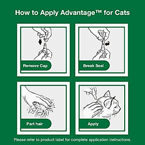 Advantage Topical Cat Flea Treatment and Prevention for Small Cats 2-9 lbs. | Apply Flea Drops Monthly | 2 Treatments