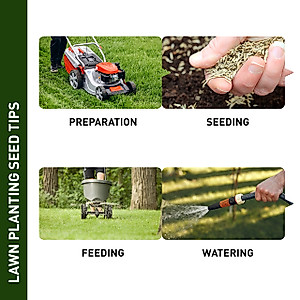 Hancock Seed Co. Ryegrass Seeds - 50 lbs.