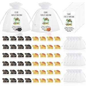 Qunclay 50 Sets Employee Appreciation Gifts Mini Sea Turtle Funny Inspirational Gift for Coworker Mini Greeting Cards You're Awesome Sign Cards Organza Bags Cute Turtles for Employee Teacher Staff
