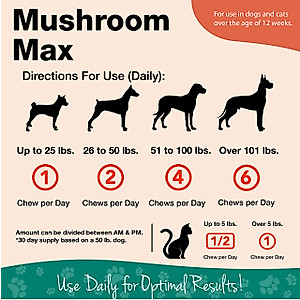 NaturVet Mushroom Max Advanced Immune Support Dog Supplement – Helps Strengthen Immunity, Overall Health for Dogs – Includes Shitake Mushrooms, Reishi, Turkey Tail – 120 Ct.
