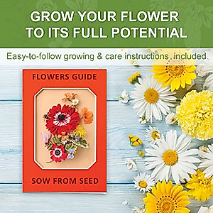 Indoor Daisy Garden Starter Kit, 5 Non-GMO Flower Seeds Planting Set with Gardening Tool Set - Jute Bags, Markers, Soil Disks and Shears, Home Gardening Gifts for Women Men Flower Plant Lovers