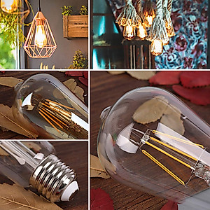 Vintage LED Edison Bulb, ST19 4W Dimmable LED Filament Bulb, 400 Lumens, Warm White 2700K, LED Light Bulb, Clear Glass, E26 Base, 4 Pack