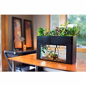 AquaSprouts Garden, Self-Sustaining Desktop Aquarium Aquaponics Ecosystem Kit, fits Standard 10 Gallon Aquariums
